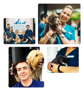 Aldham Veterinary Centre – Colchester, Essex – 01206 809199